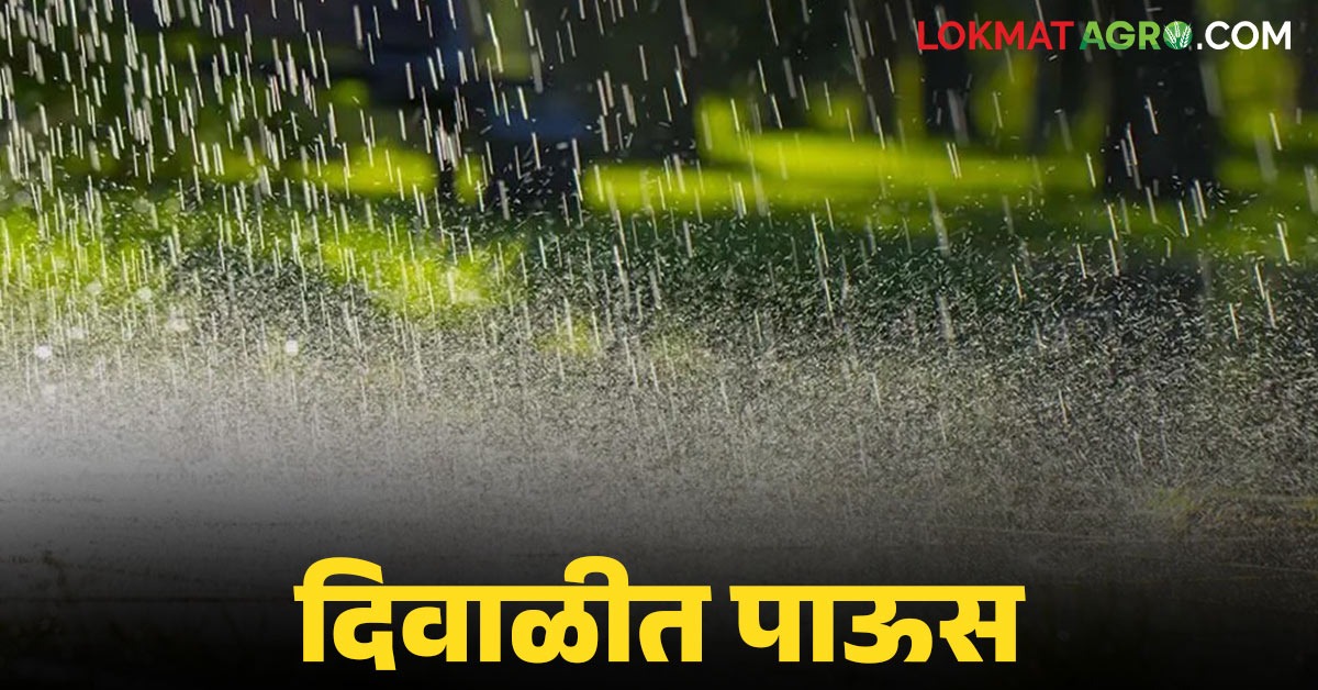 राज्याच्या हवामानात बदल होणार; रजेवर गेलेला पाऊस दिवाळीत 'या' भागात ...