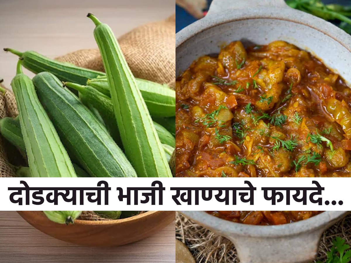 ईऽऽ दोडका नको, असं म्हणून नाक मुरडू नका! दोडक्याचे फायदे इतके की रोज ...