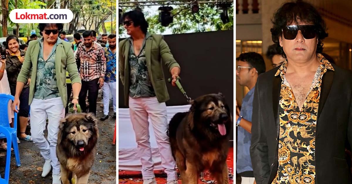 ५० कोटींचा 'तो' श्वान निघाला भारतीय जातीचा; ईडीने धाड टाकल्यावर मालकाने ...