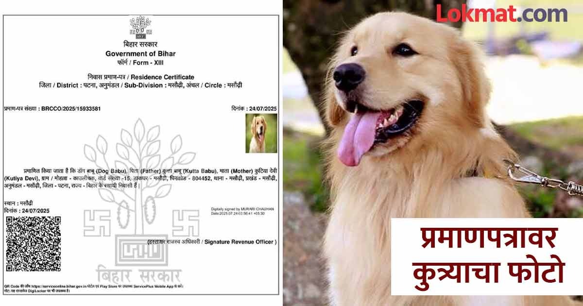 ऐकावं ते नवलच! नाव डॉग बाबू, वडील कुत्ता बाबू अन् आई कुटिया देवी ...