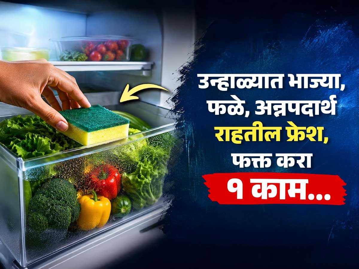 उन्हाळ्यात फ्रिजमध्ये स्पंज ठेवल्याने नेमकं काय होतं? व्हायरल ट्रिक ...