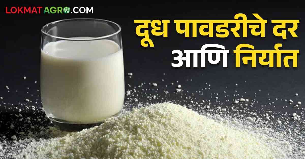 Milk Powder Export : दूध पावडर निर्यातीला अनुदान पण आंतरराष्ट्रीय ...