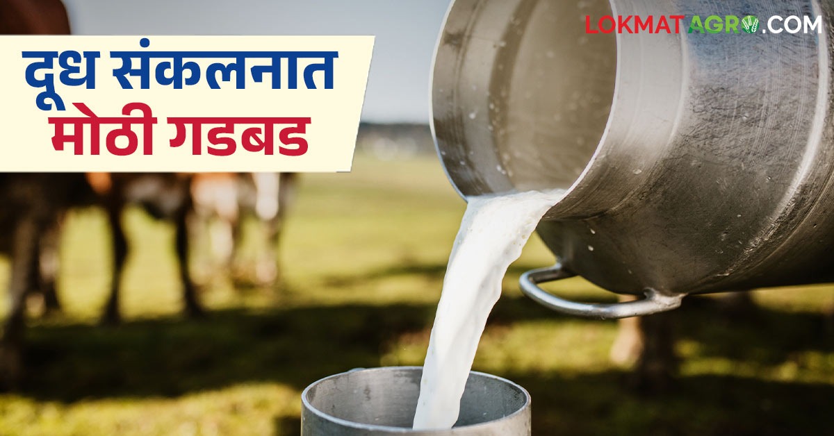 Dudh Anudan : राज्यात 'या' तीन जिल्ह्यांतील ७८ दूध संस्था कारवाईच्या ...