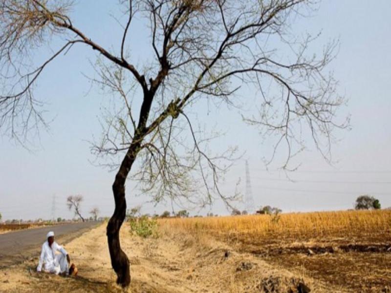इंदापूरात दुष्काळाचे सावट! पाऊस दडला अन् जमिनी पडल्या कोरड्या, बळीराजा ...