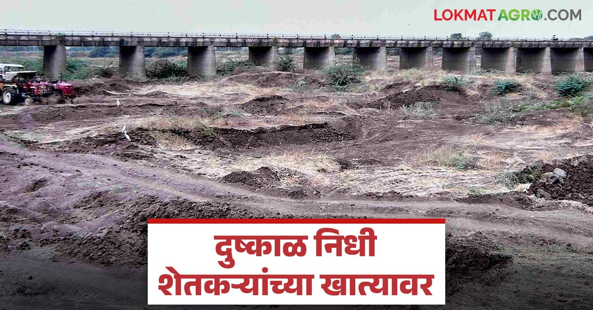 सोलापूर जिल्ह्यातील या तालुक्यात ७५ हजार शेतकऱ्यांना दोन वर्षांनी ...