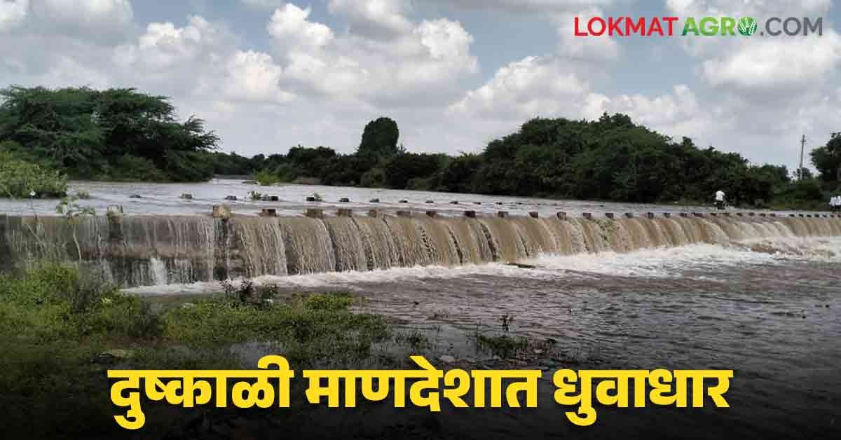 Manganga River Overflow : माण तालुक्यात धुवाधार पाऊस माणगंगा नदी दुथडी ...