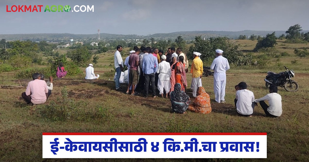 latest news e-KYC: On the hill for e-KYC; Farmers rush in search of network