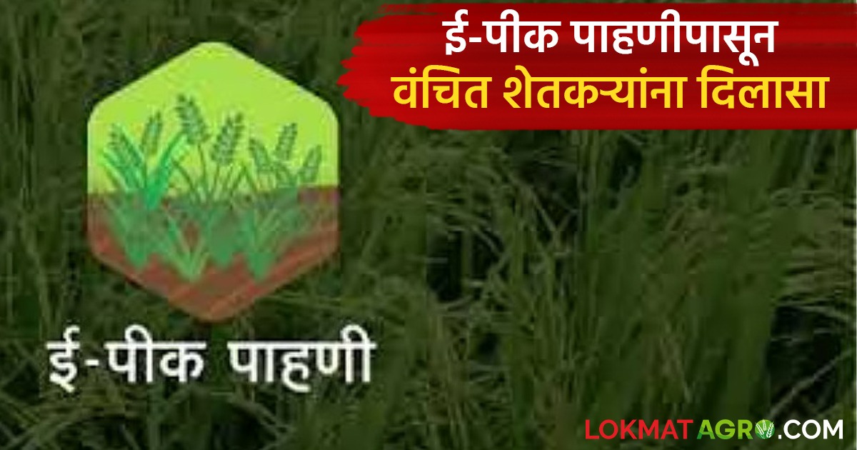 latest news E-Pik Pahani offline: Don't worry if you miss the e-Pik ...