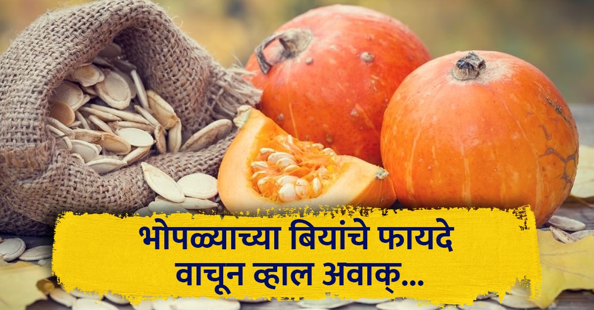 भोपळ्याच्या बियांचं सेवन कराल तर नेहमीच दिसाल तरूण, टेंशनही होईल कमी ...