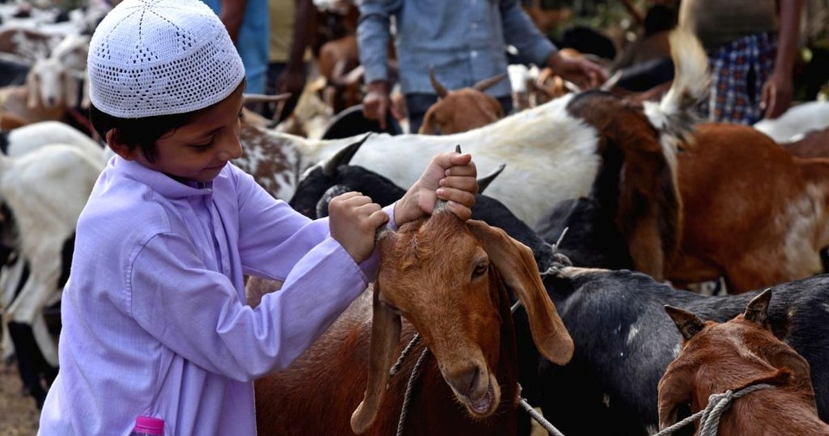 बकरी ईदच्या दिवशी कुर्बानी टाळावी...; इस्लामिक देशाच्या राजाचं जनतेला ...