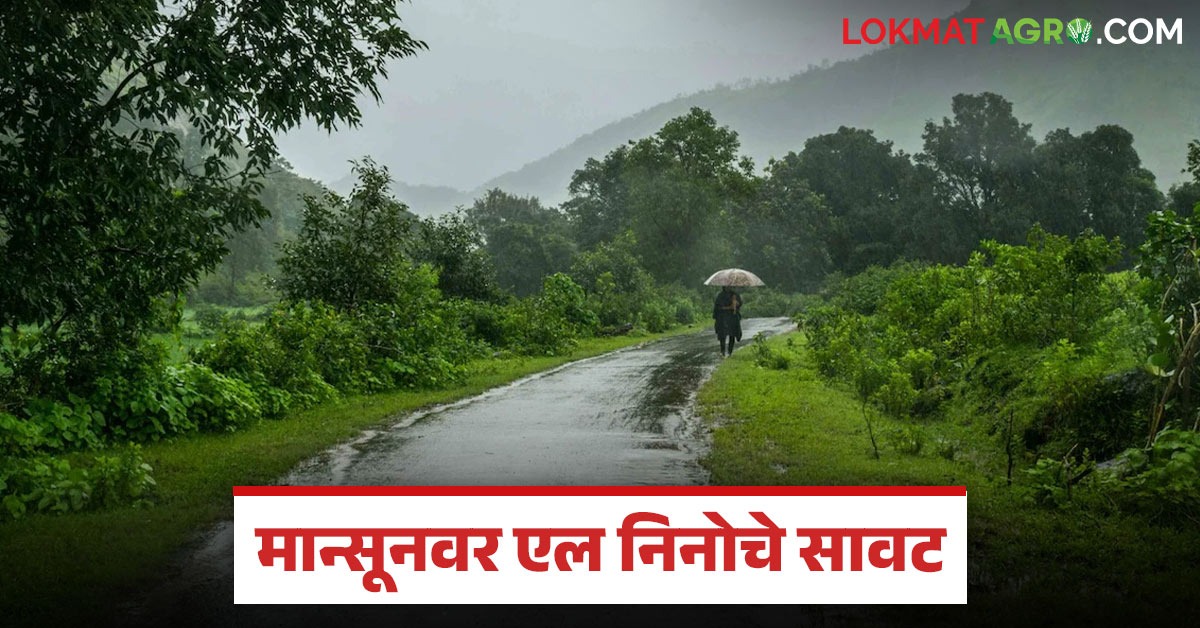१९७ जिल्ह्यांना मोठा अलर्ट, मान्सूनवर अल निनोचा नकारात्मक प्रभाव ...