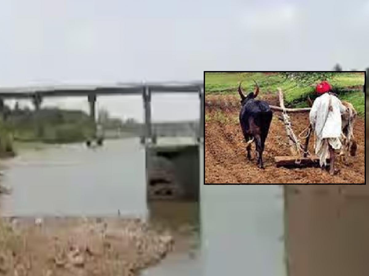 ८००० कोटींचा खर्च अन् चार दशके उलटली, तरीही शेतकरी तहानलेलाच ...