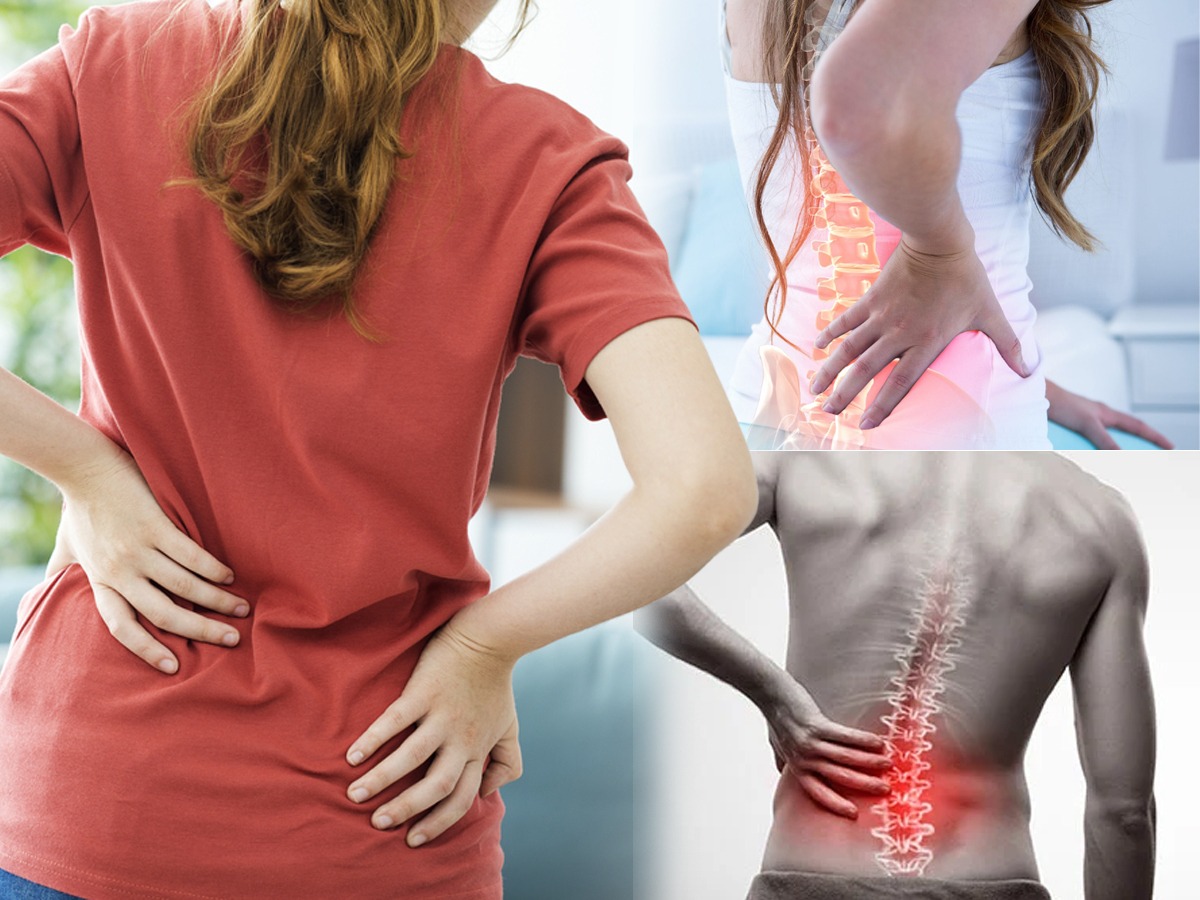 दिवसभर बसून काम केल्यानं मणक्याचे दुखणे छळतेय? पाठ दुखतेय? तज्ज्ञ ...