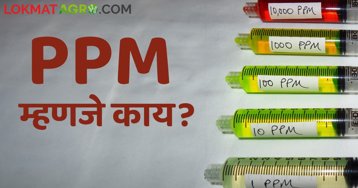 PPM Solution : PPM म्हणजे काय? पीपीएमचे द्रावण कसे बनवले जाते?