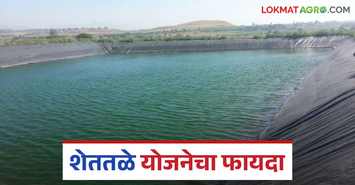 पावसाचा प्रत्येक थेंब साठवा; यंदा वैयक्तिक शेततळे योजनेसाठी भरघोस निधी ...