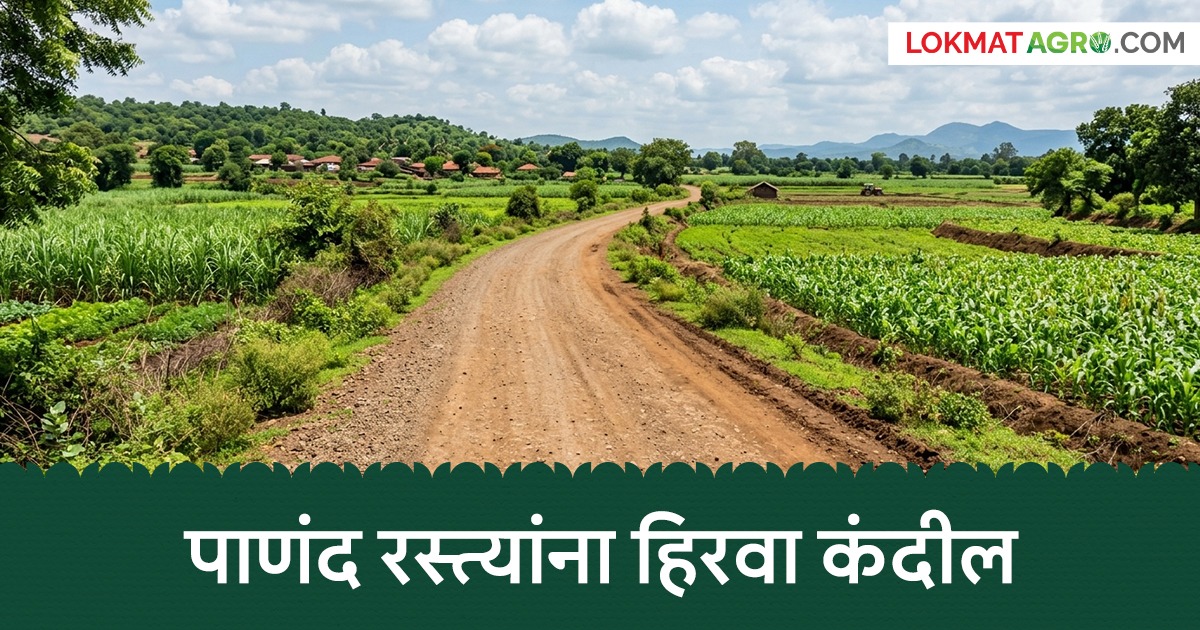 जिओ-रेफरन्सिंग तंत्रज्ञानामुळे पाणंद रस्त्यांचा मार्ग मोकळा; वाचा 'या ...