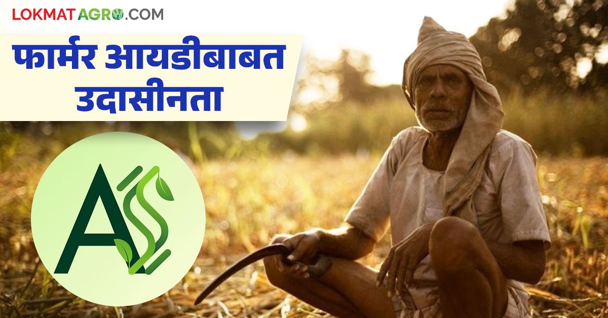 Farmar id : नाशिक जिल्ह्यातील शेतकरी फार्मर आयडीबाबत उदासीन, केवळ 'इतकी ...