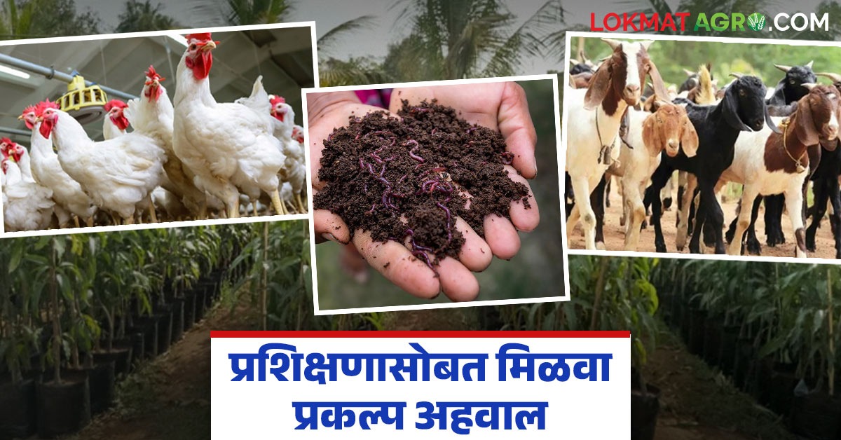 शेळीपालन, कुक्कुटपालन, रोपवाटिका आणि गांडूळ खत निर्मिती प्रशिक्षण ...
