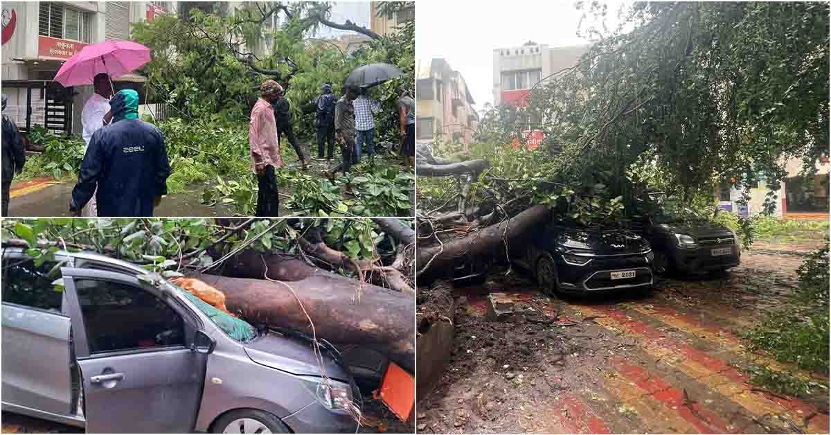 पिंपरी- चिंचवड आणि मावळात जोरदार पाऊस सुरू; झाडपडीच्या घटना, वाहनांचे ...