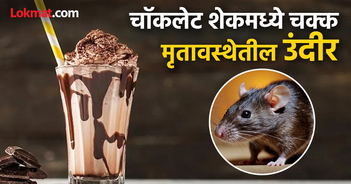 धक्कादायक घटना! घरपोच मागवलेल्या चाॅकलेट शेकमध्ये मृतावस्थेतील उंदीर ...