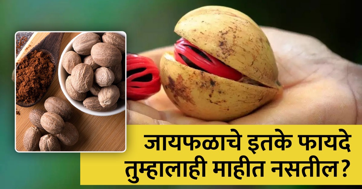जायफळाचा रोजच्या आहारात करा समावेश, फायदे इतके की विचारही केला नसेल ...
