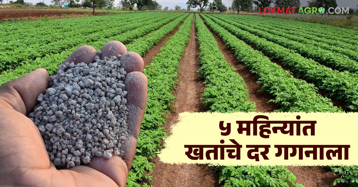 latest news Fertilizer Price Hike: Fertilizer prices hit record high ...