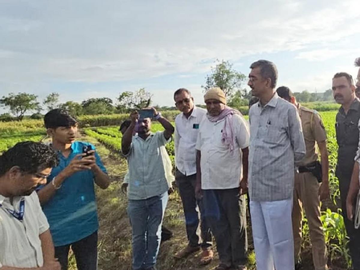 Satara: दुष्काळी भागासाठी वरदान वाटणारा पाऊस संकट होऊन कोसळला; शेती ...