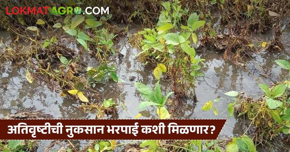 पुरामुळे झालेल्या कुठल्या नुकसानीला किती पैसे मिळणार, जाणून घ्या ...