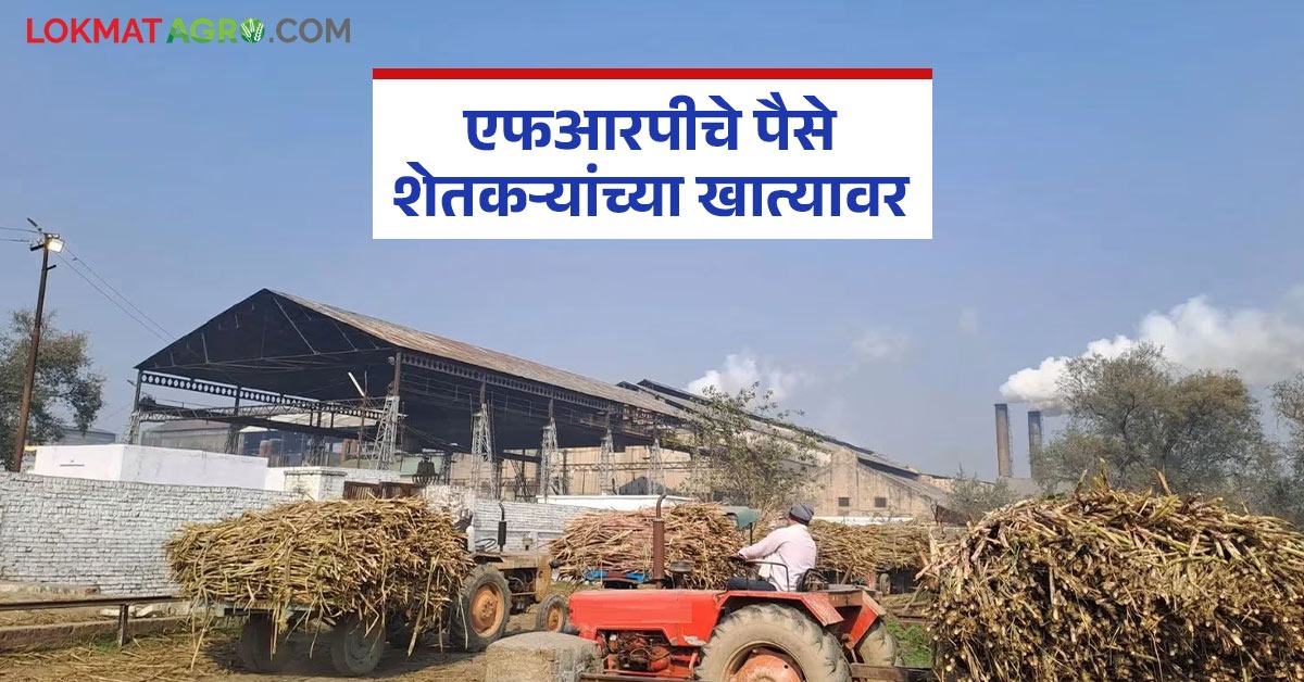 १५ दिवसांत या चार कारखान्यांकडून ऊस उत्पादकांचा एफआरपीचा हिशोब चुकता ...