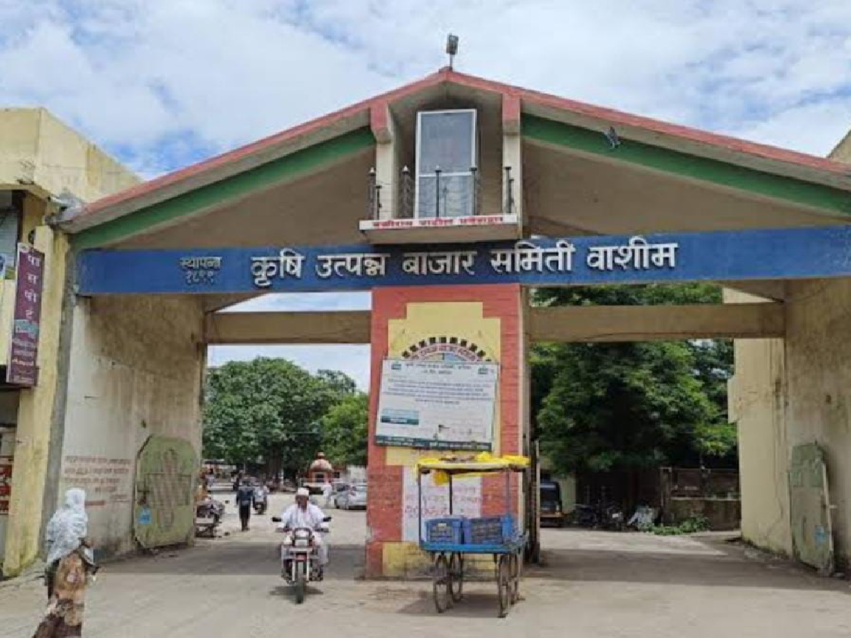 तुरीने ओलांडला ११ हजाराचा टप्पा! मानोऱ्यात सर्वाधिक भाव; शेतकरी सुखावला ...