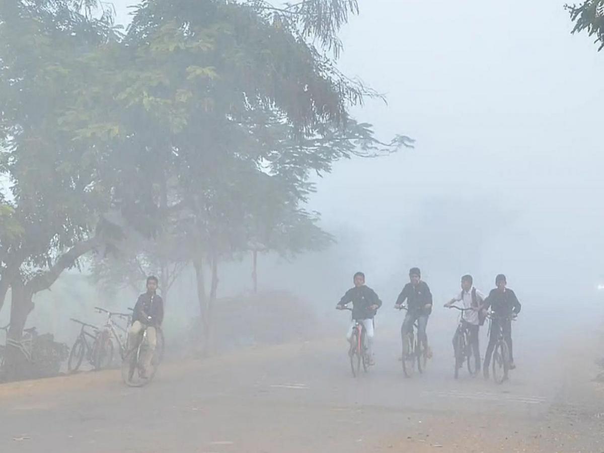 धुरक्यात लपलेला राक्षस ‘ओळखता’ येऊ शकेल? - Marathi News | Can the ...