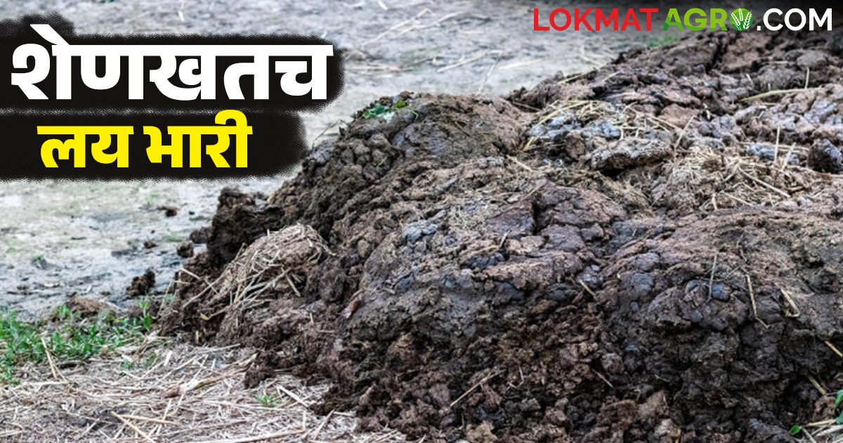 Sendriya Khat : खतांवरील खर्च कमी करण्यासाठी आणि मातीच्या आरोग्यासाठी ...