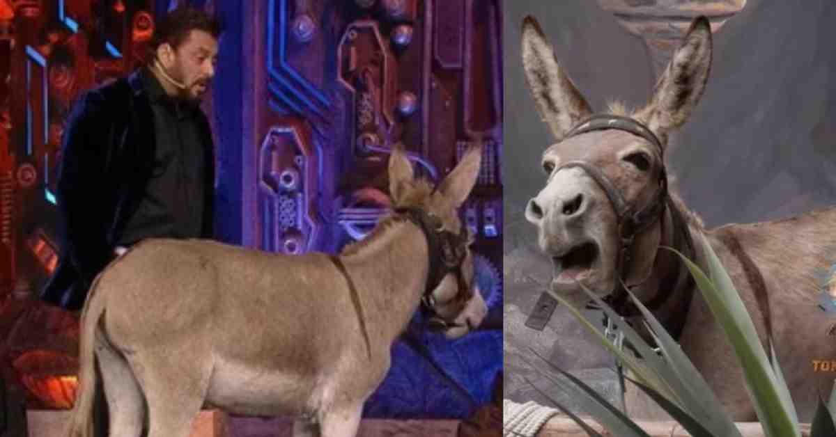 'गधराज' वरून सलमान खान, Bigg Boss चे मेकर्स अडचणीत? नक्की काय घडलं वाचा ...