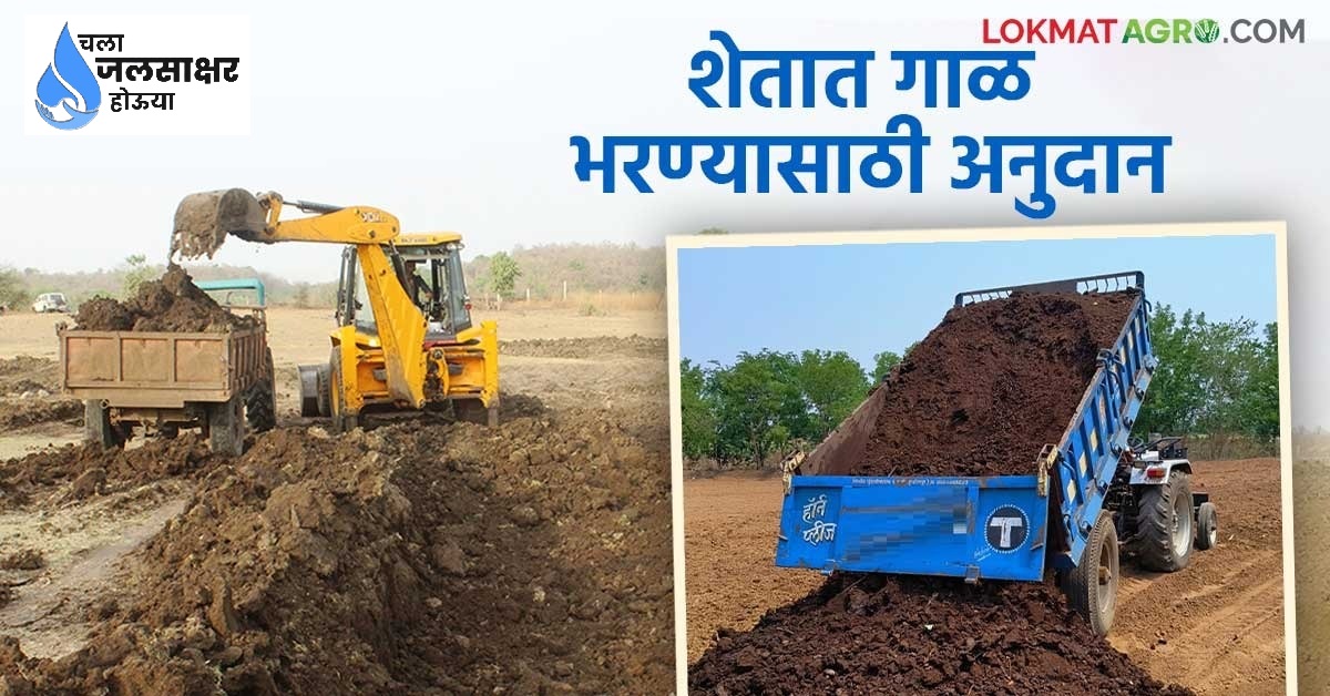 शेतात गाळ भरायचाय.. कुठे कराल गाळासाठी मागणी? किती मिळतंय अनुदान? जाणून ...