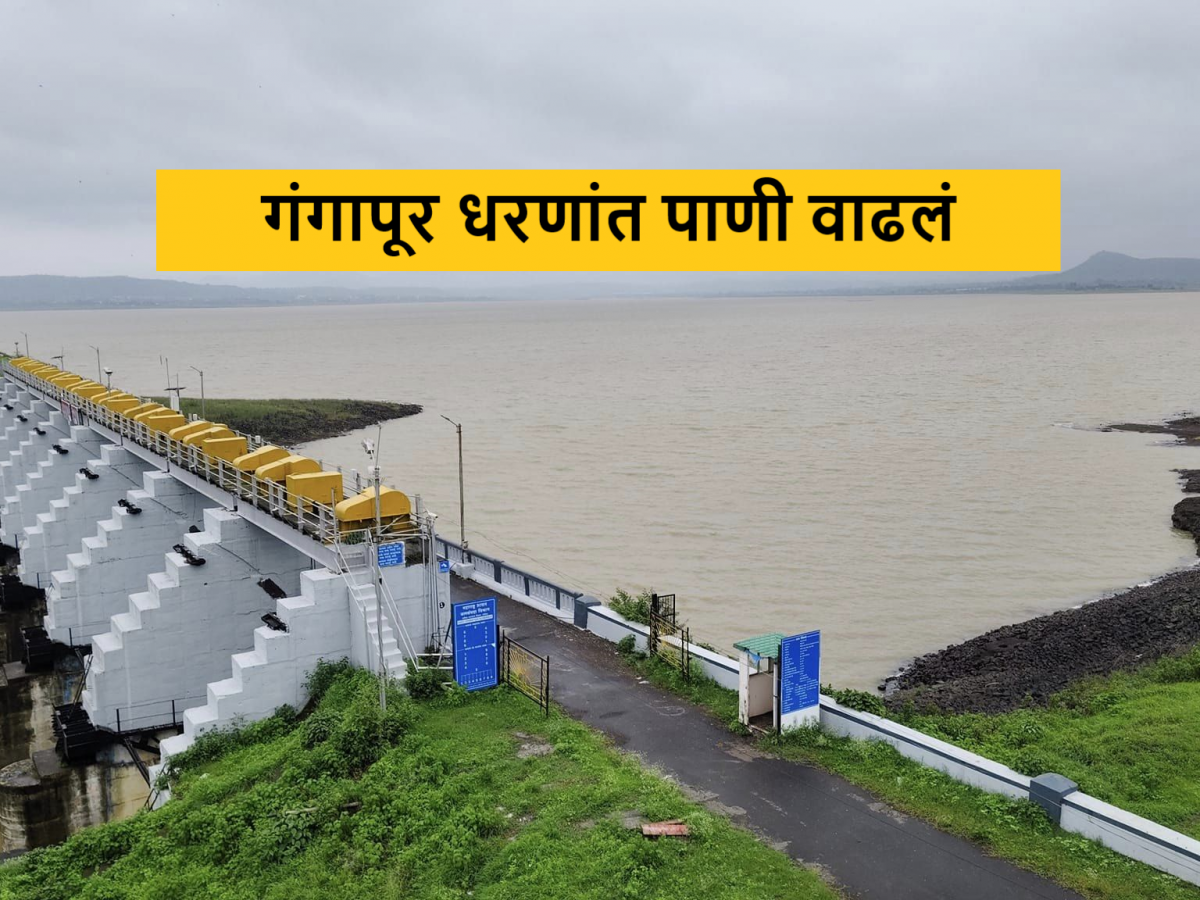 Gangapur Dam : गंगापूर धरण किती टक्के भरलं? दारणा, नांदूरमध्यमेश्वर धरणातून किती विसर्ग, वाचा ...