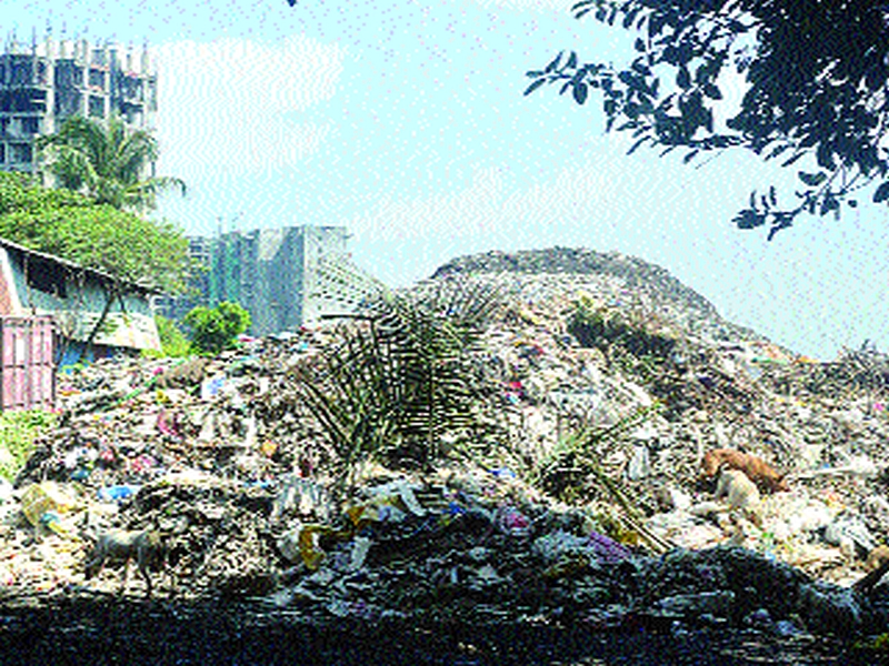 सुक्या कचऱ्यावरही आता होणार प्रक्रिया Mumbai Marathi News | Dry waste ...