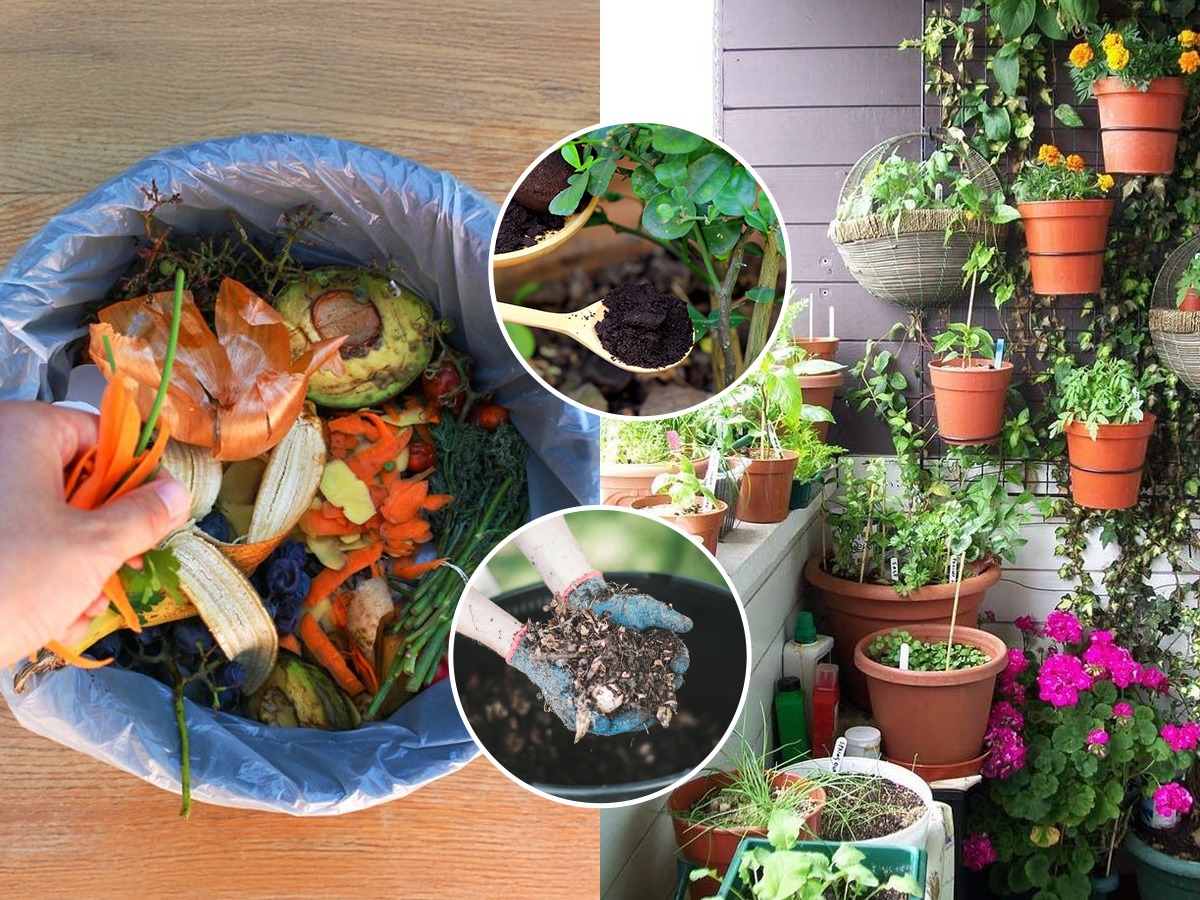 Gardening tips : किचनमधला कचरा रोपांसाठी सुपर टॉनिक! ‘असा’ वापरा, बाग ...