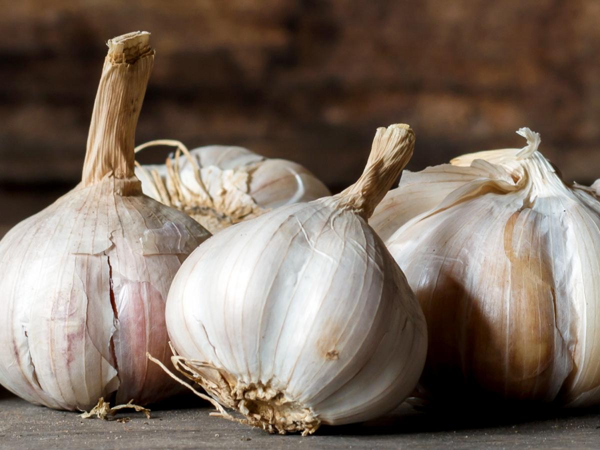 Garlic Prices: लसणाचा बाजारभाव उतरताेय, किलोमागे मिळतोय एवढा दर ...