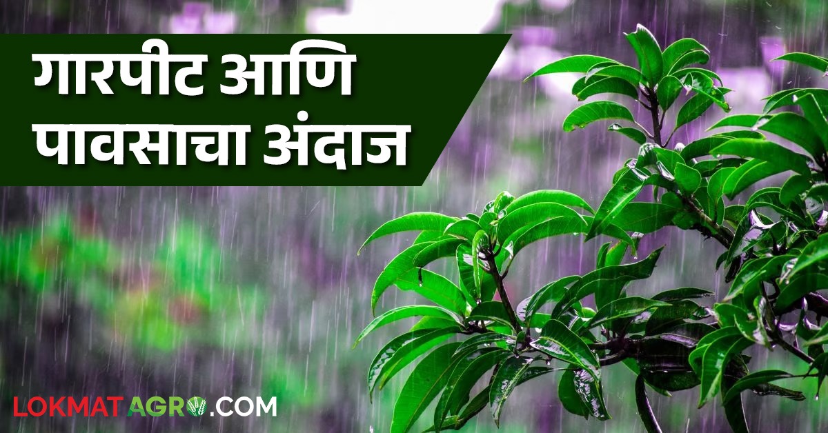 Maharashtra Weather Update : राज्यात 27-28 डिसेंबरदरम्यान गारपीट आणि ...
