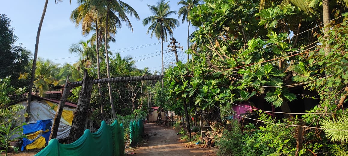 पहिल्याच पावसाने दिला राज्याला दणका; जनजीवन विस्कळीत, अनेक भागांतील ...