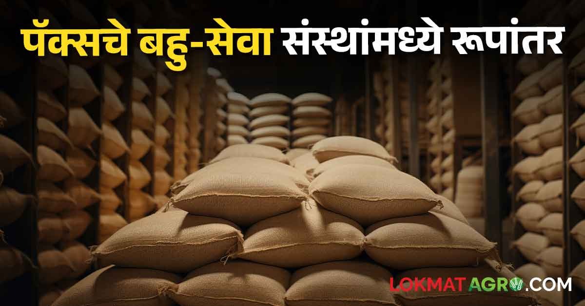 Food Grain Godown जगातील सर्वात मोठ्या धान्य साठवणूक योजनेतून देशात ...