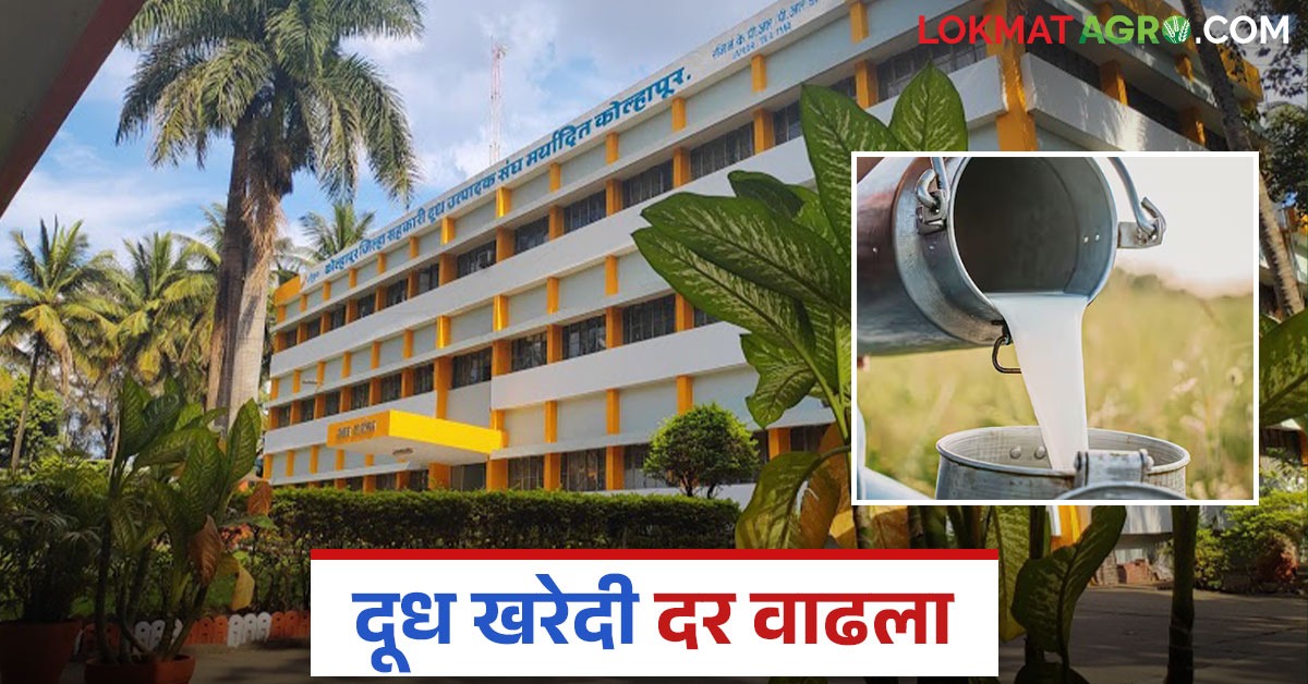 Gokul Dudh Dar : तब्बल पावणेदोन वर्षांनी 'गोकुळ'च्या दूध खरेदी दरात ...