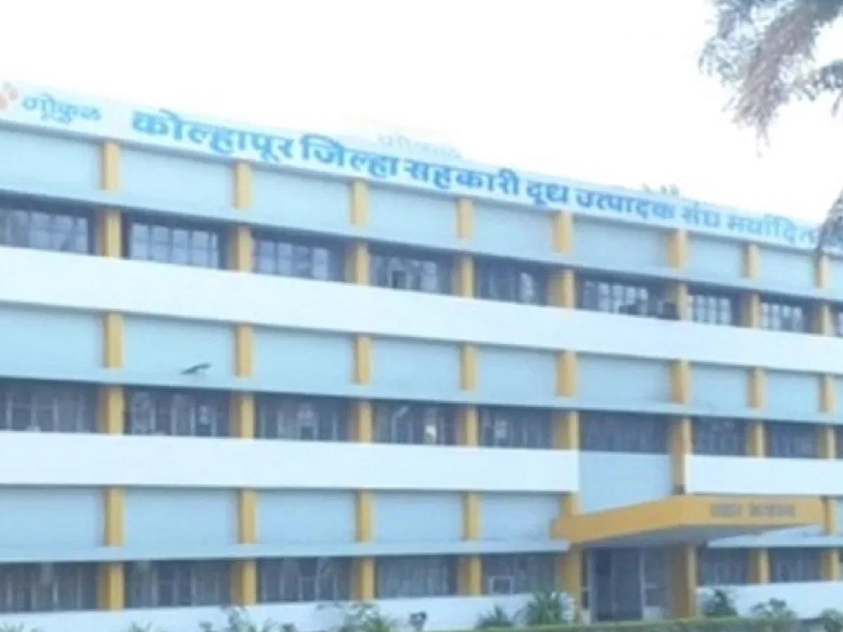 Kolhapur: गोकुळकडून दूध उत्पादकांना दिवाळी भेट, फरकापोटी १०१ कोटी जमा ...