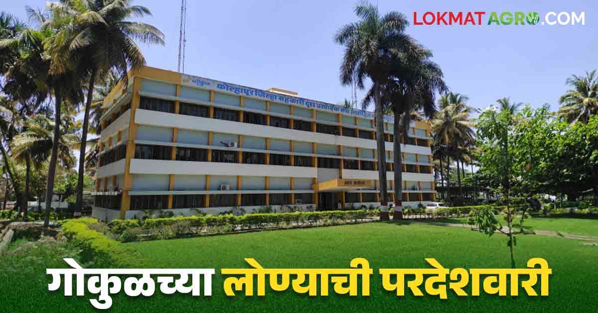 Gokul Dudh : गोकुळ दूध संघातून अझरबैजान देशातील अटेना दूध संघासाठी २१० ...