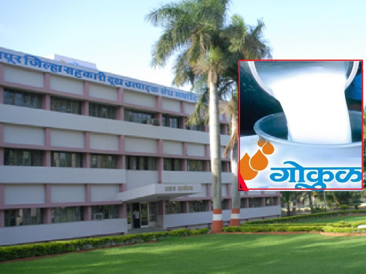 Kolhapur News: अमूल पाठोपाठ ‘गोकुळ’च्या दूध दरातही वाढ; प्रतिलिटरला आता ...