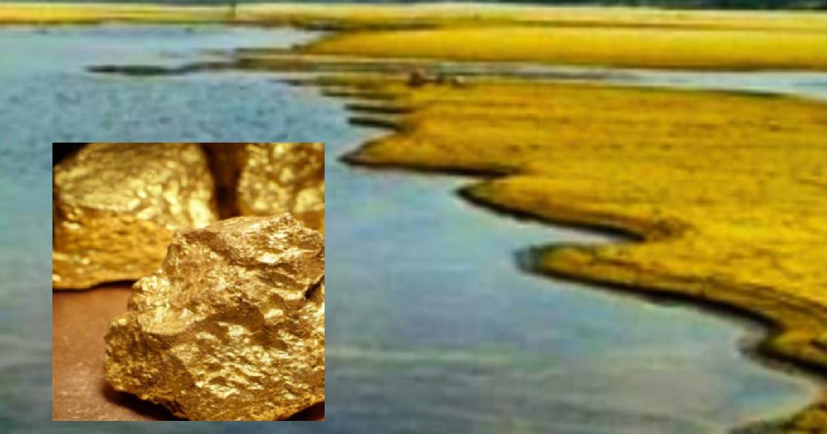 Gold River: भारतात 'या' नदीत सोनं वाहतं, गावकरी आहेत कोट्यधीश, अशा ...
