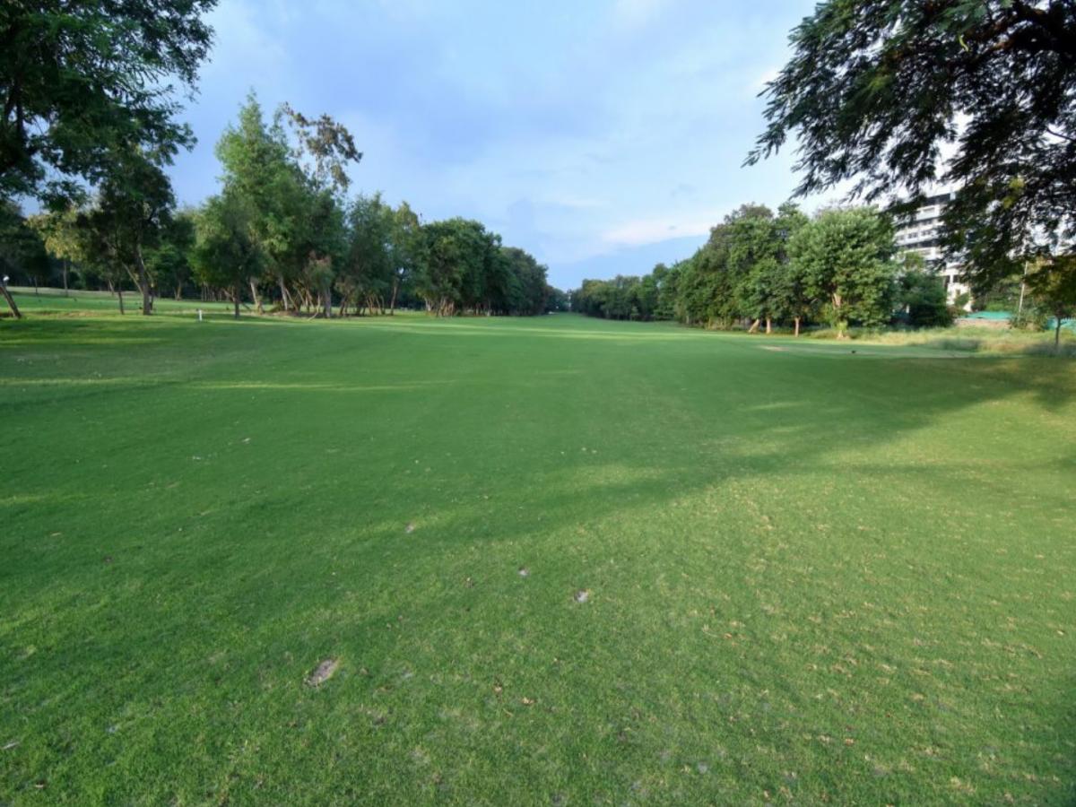 गोल्फच्या मैदानातून उडालेला चेंडू दुचाकीस्वाराच्या छातीवर आदळला; गोल्फ ...