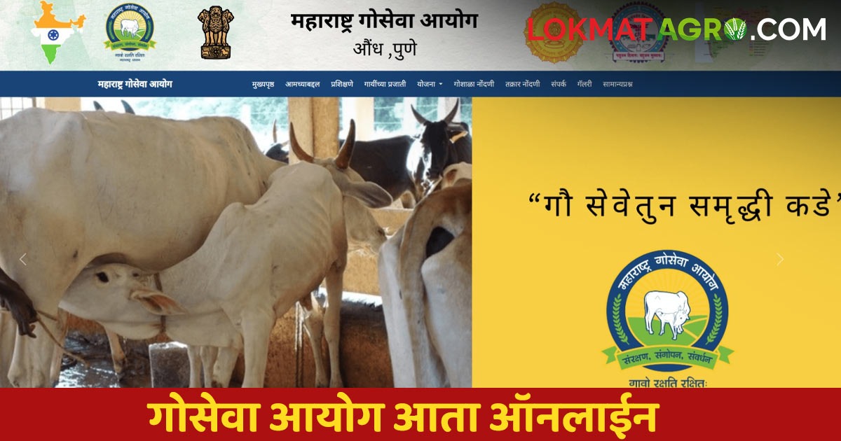 गोवंश संवर्धनाबद्दल माहितीचा खजिना असणारी महाराष्ट्र गोसेवा आयोगाची ...