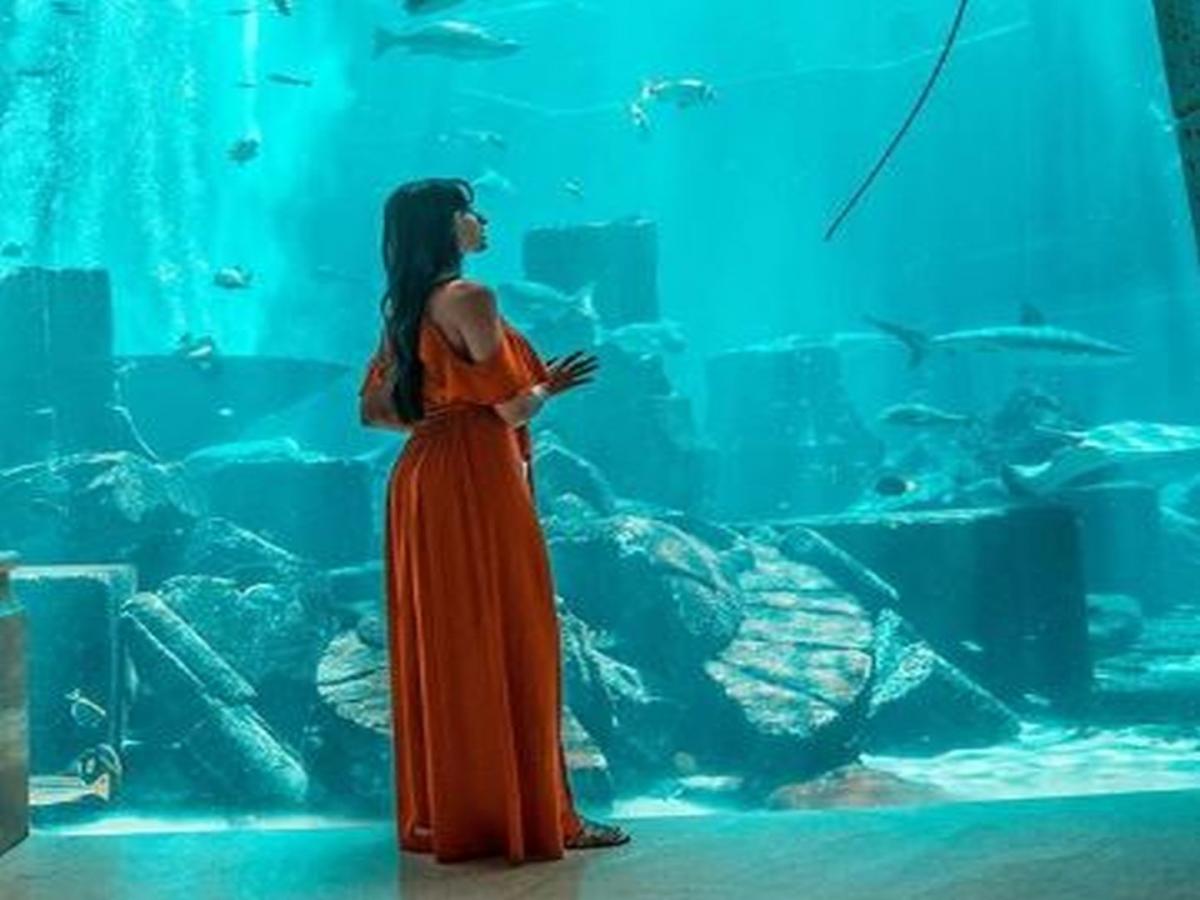 The Bollywood Actress Nora Fatehi Lost 20 Lakhs for Indian Visa | नोरा ...