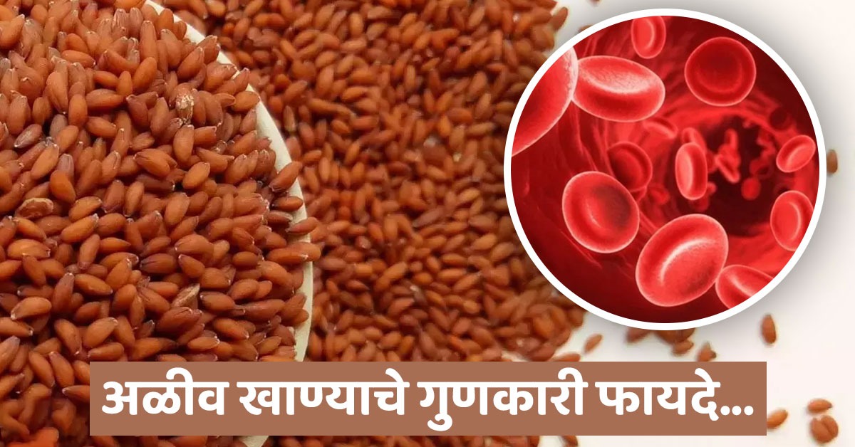 शरीरातील रक्ताची कमतरता दूर करेल अळीव; आजच करा सेवन, आजारही होतील गायब ...